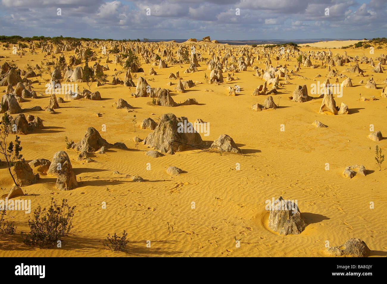 Limestone pinnacles at Nambung National Park near Cervantes, Western ...