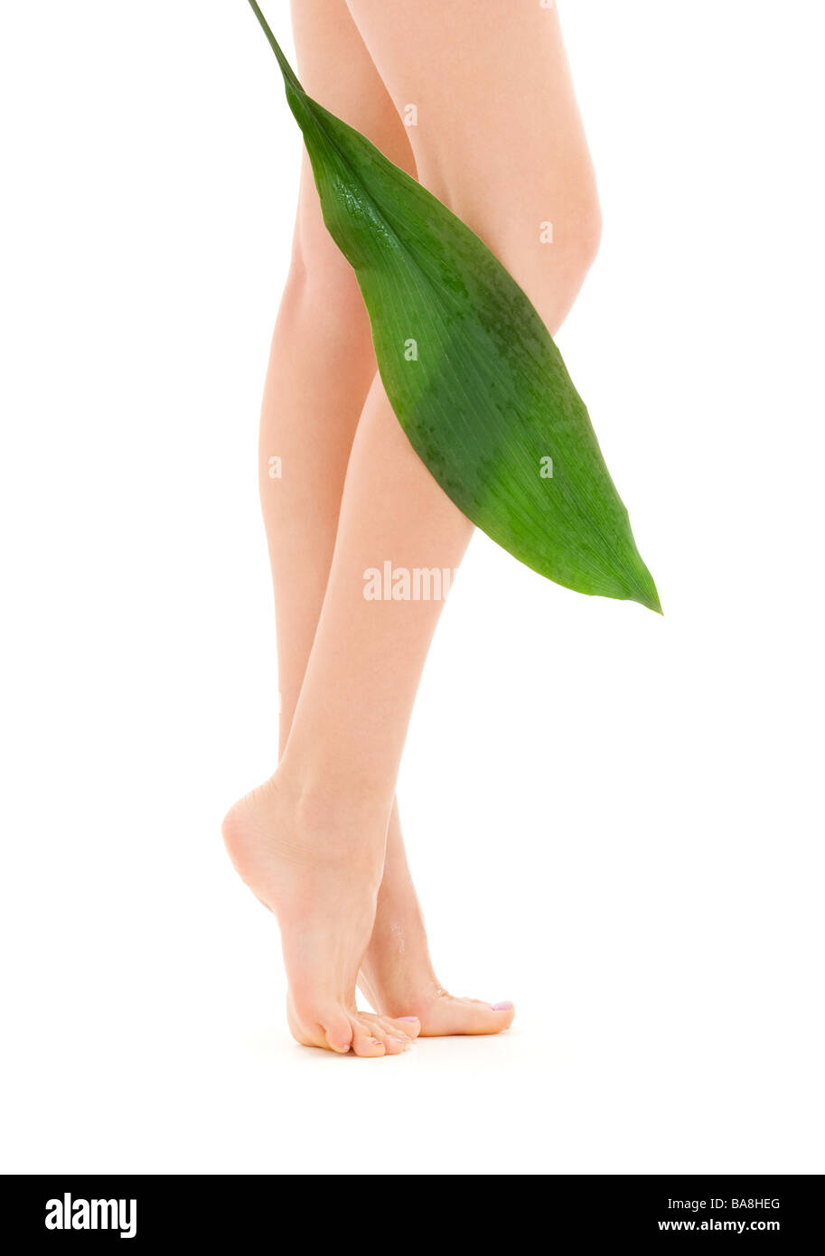 picture of female legs with green leaf over white Stock Photo - Alamy