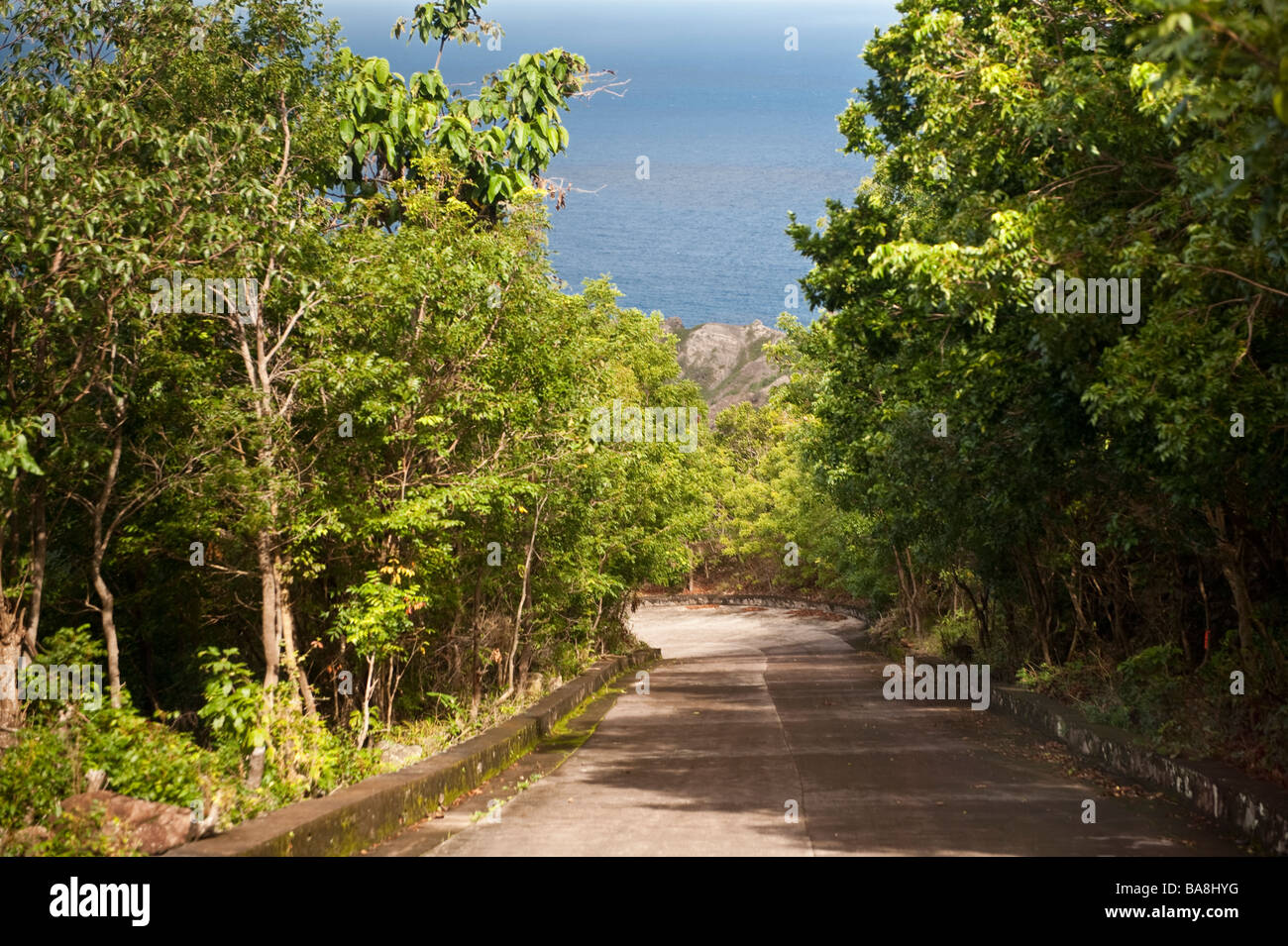 The steep road between Wells Bay and The Bottom on Saba Stock Photo - Alamy