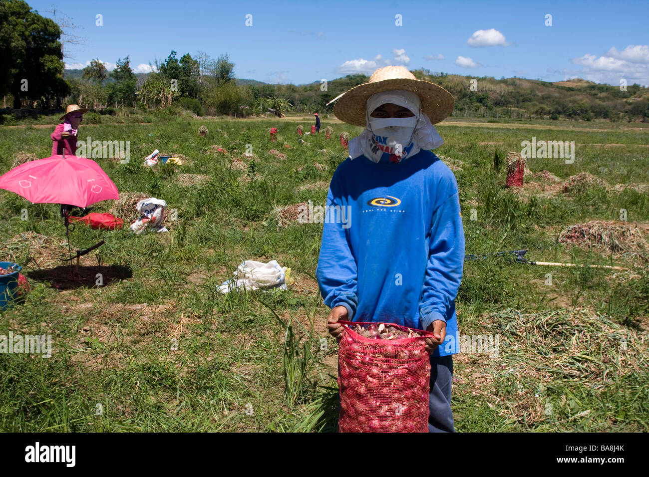 Filipino farmer hi-res stock photography and images - Alamy