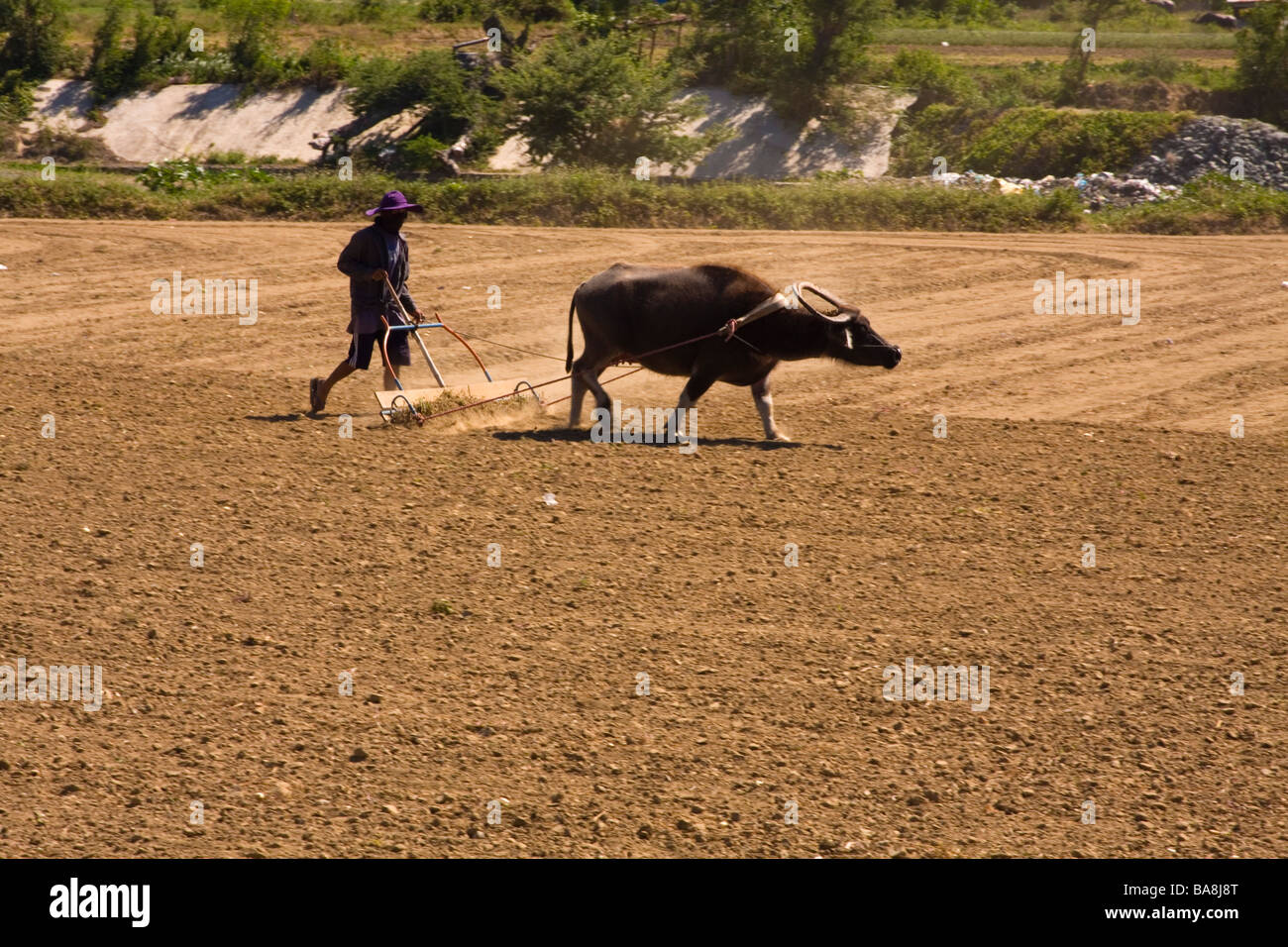 A farmer plows his field Stock Photo - Alamy