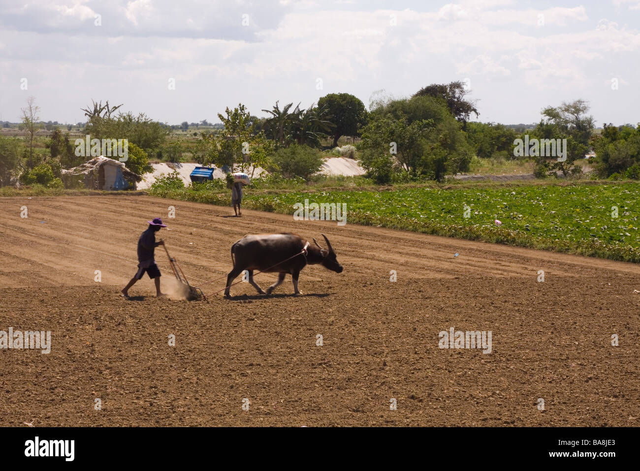 A farmer plows his field Stock Photo - Alamy