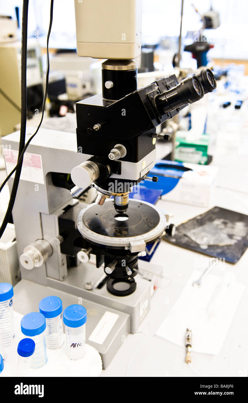 Microscope in a research laboratory Stock Photo - Alamy