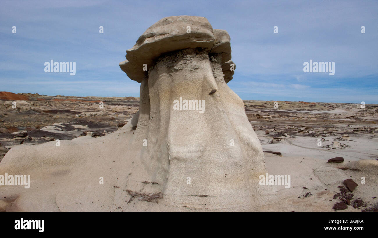 Hoodoo formation in the Bisti Badlands Wilderness in northwestern New ...