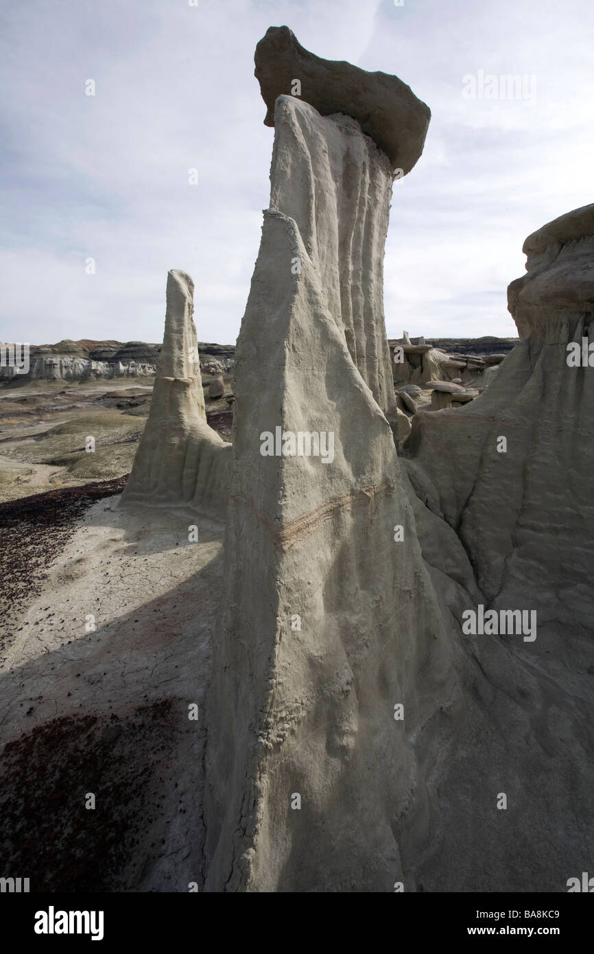 Hoodoo formation in the Bisti Badlands Wilderness in northwestern New ...