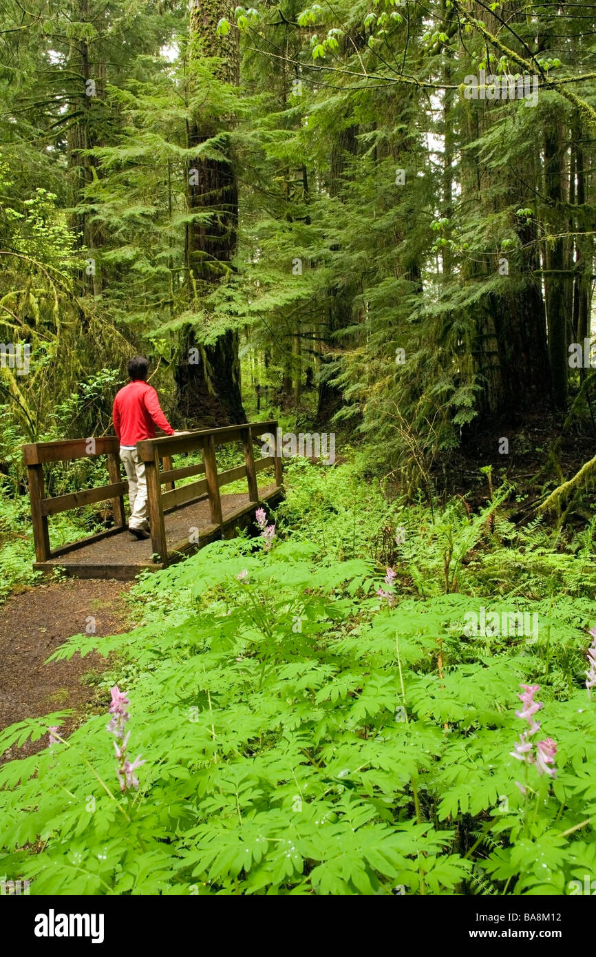 Federation forest state park washington hi-res stock photography and ...