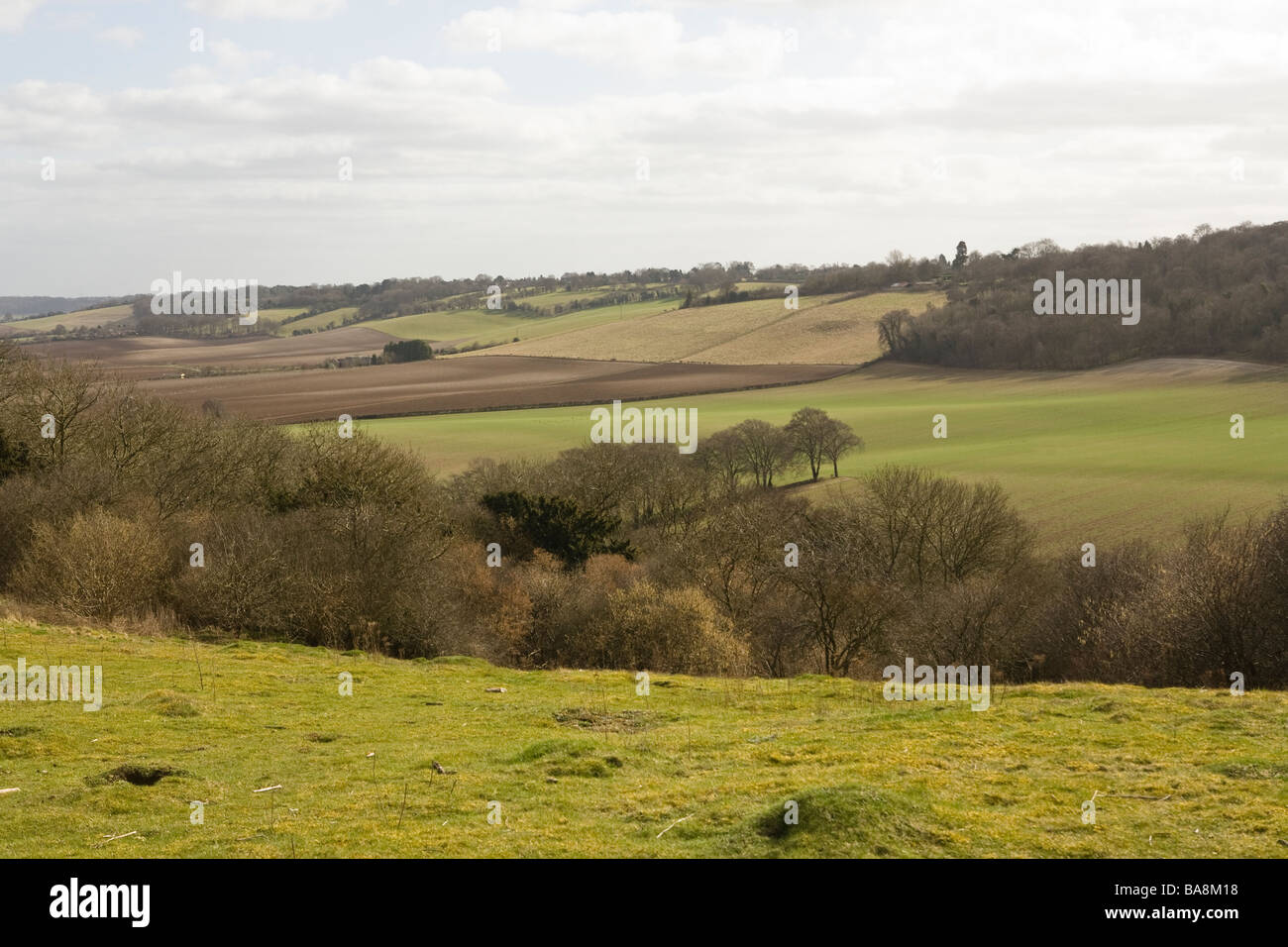 English countryside hi-res stock photography and images - Alamy