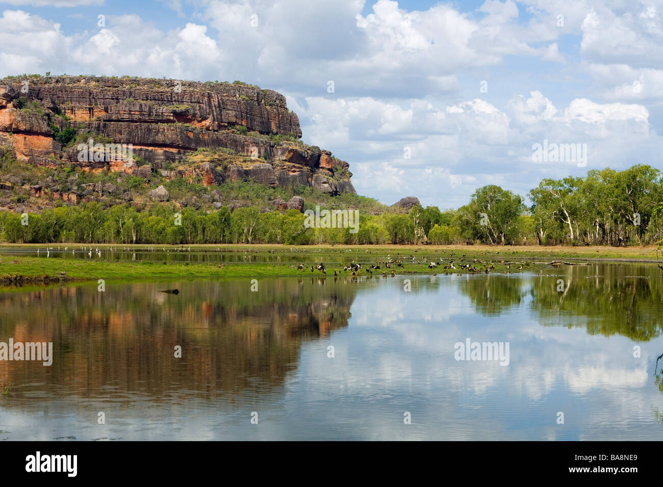Kakadu National Park High Resolution Stock Photography and Images - Alamy