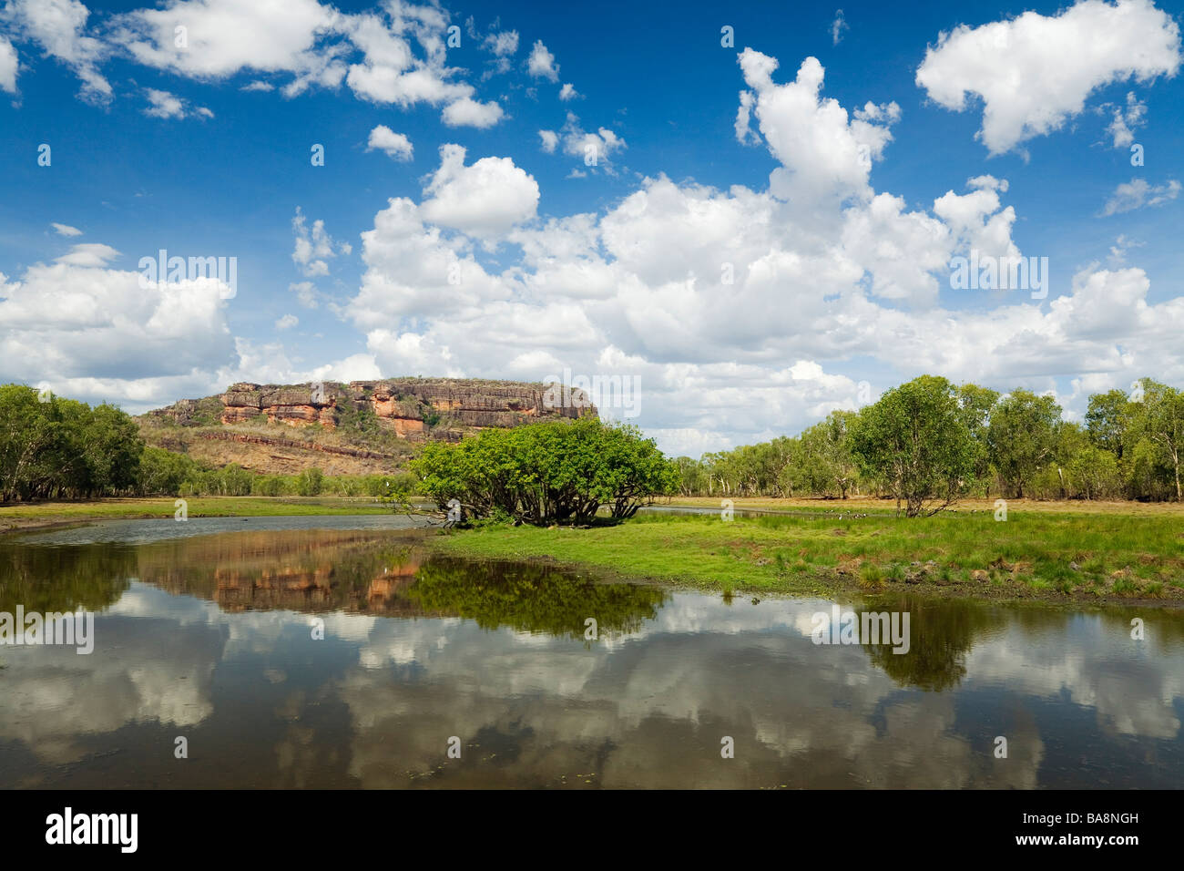 Australian wetland scenery hi-res stock photography and images - Alamy