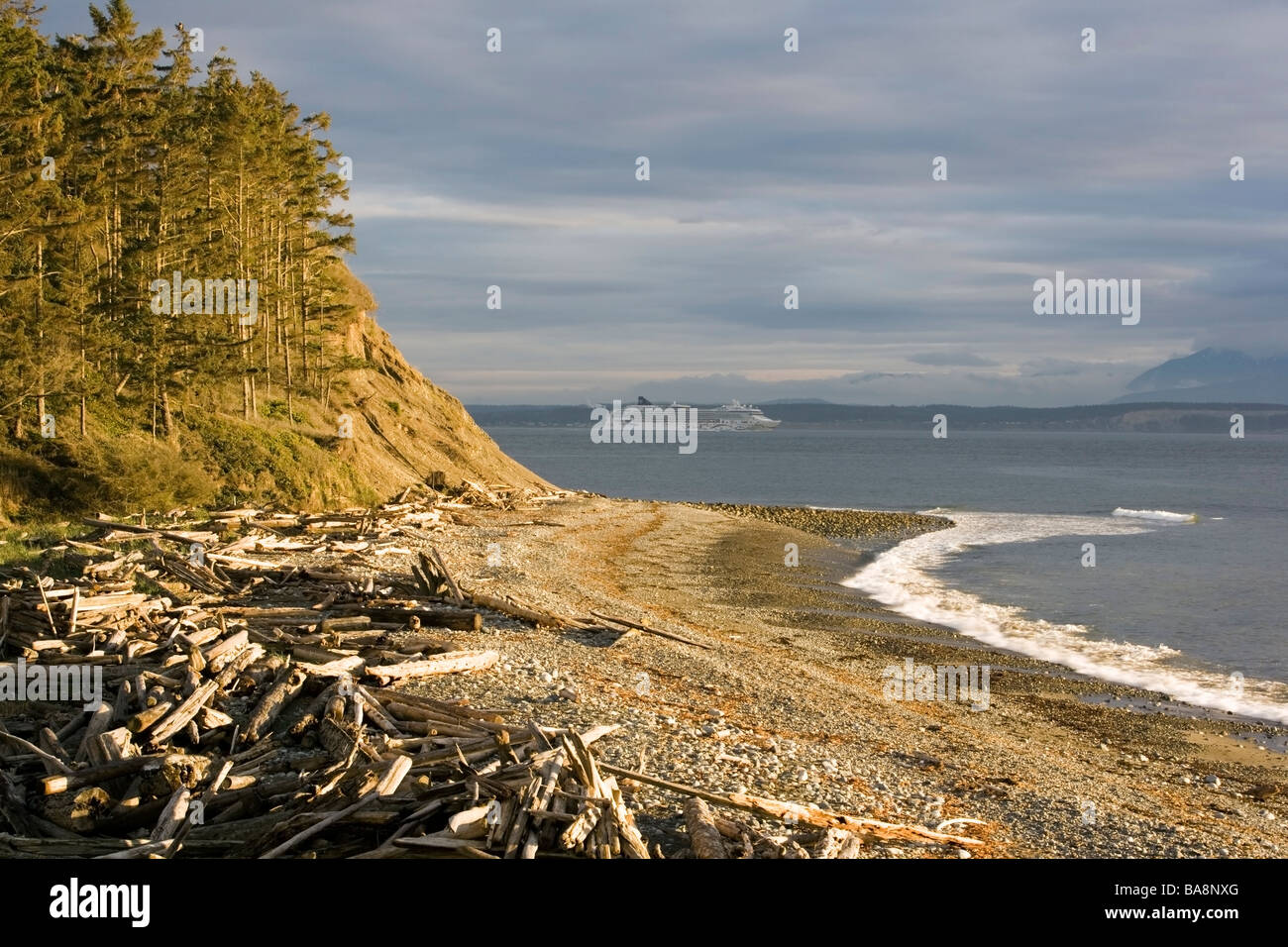 Driftwood Beach - Fort Ebey State Park, Whidbey Island, Washington ...