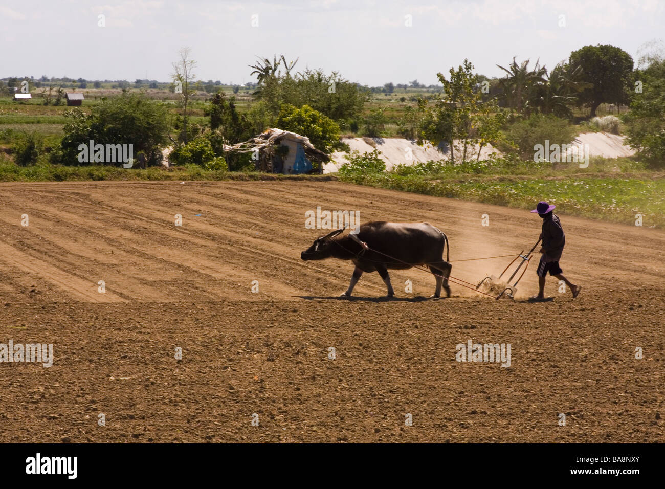 Filipino Farmer Stock Photos & Filipino Farmer Stock Images - Alamy