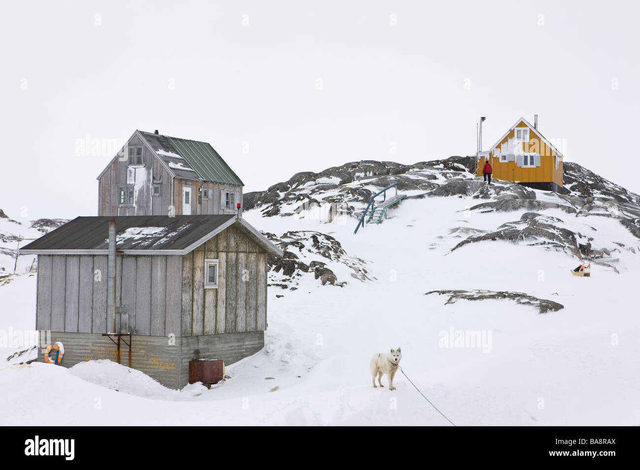 The village Kulusuk in Greenland Stock Photo - Alamy