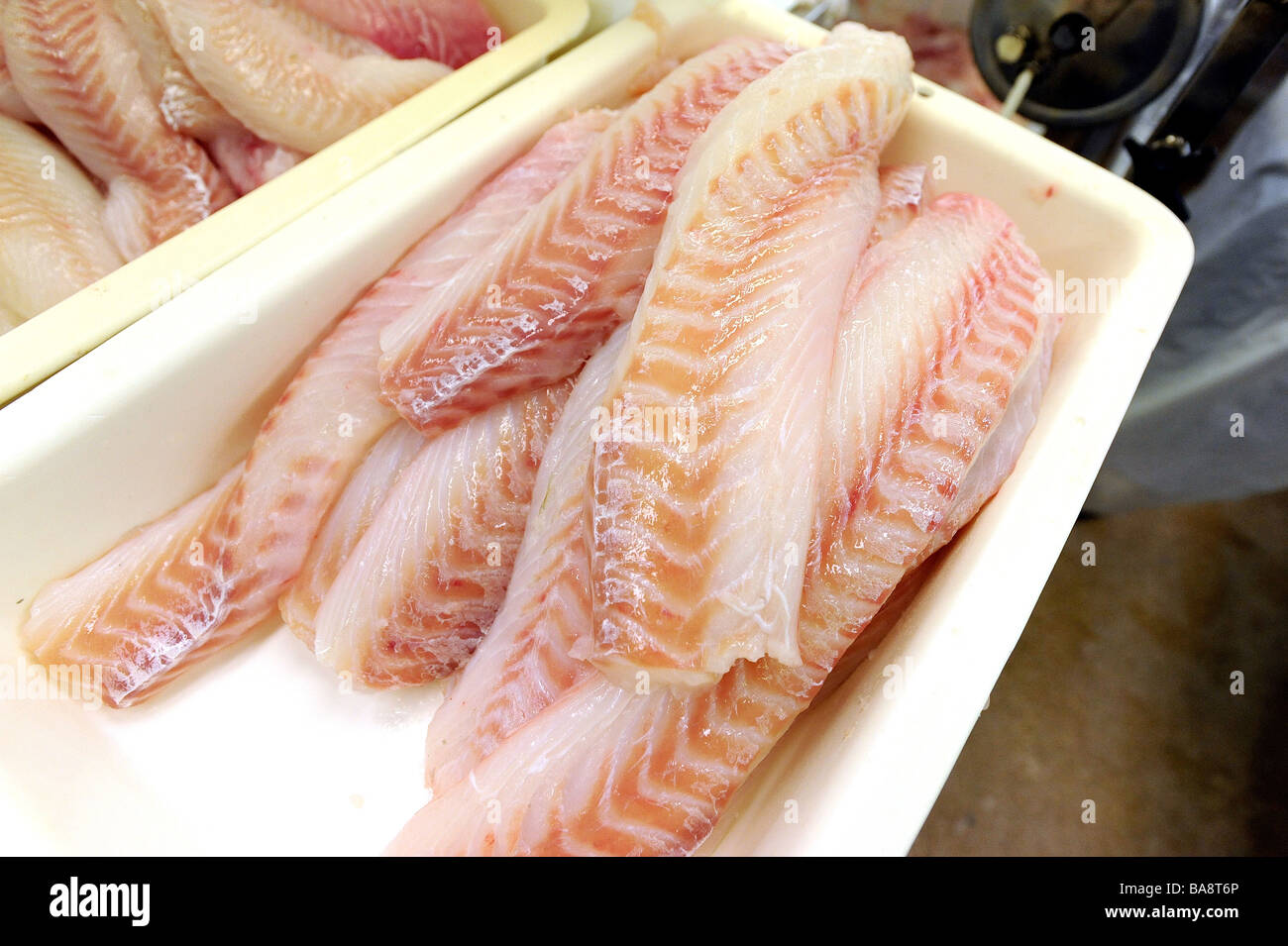 Norway, Lofoten Islands : packaging of cod (Skrei Stock Photo - Alamy