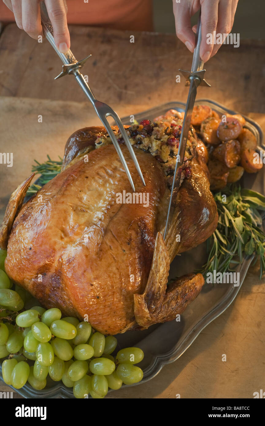 Person holding thanksgiving turkey hi-res stock photography and images ...