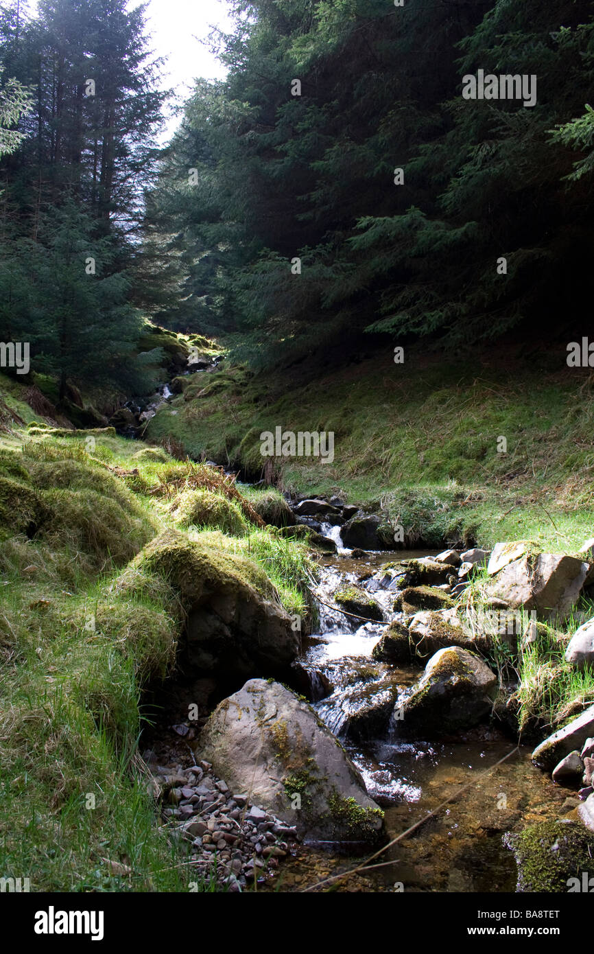 A scottish stream with waterfalls Stock Photo - Alamy