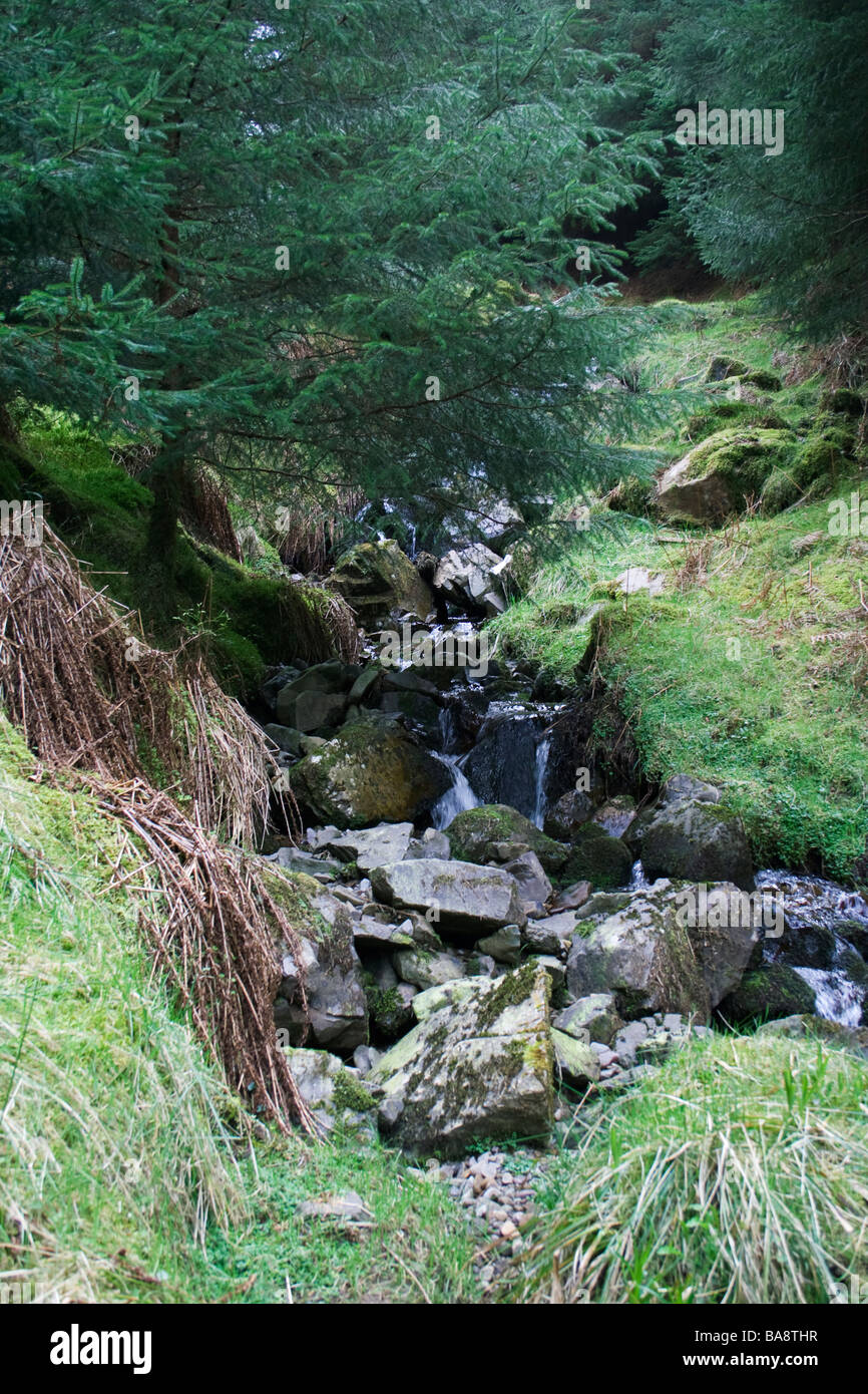 A Scottish waterfall Stock Photo - Alamy