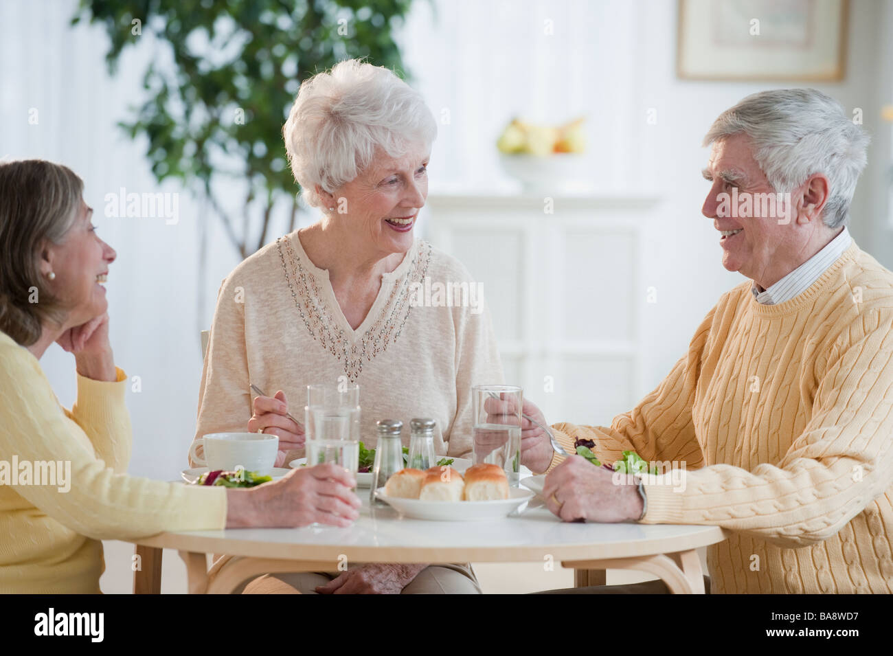 Senior adults eating dinner Stock Photo - Alamy