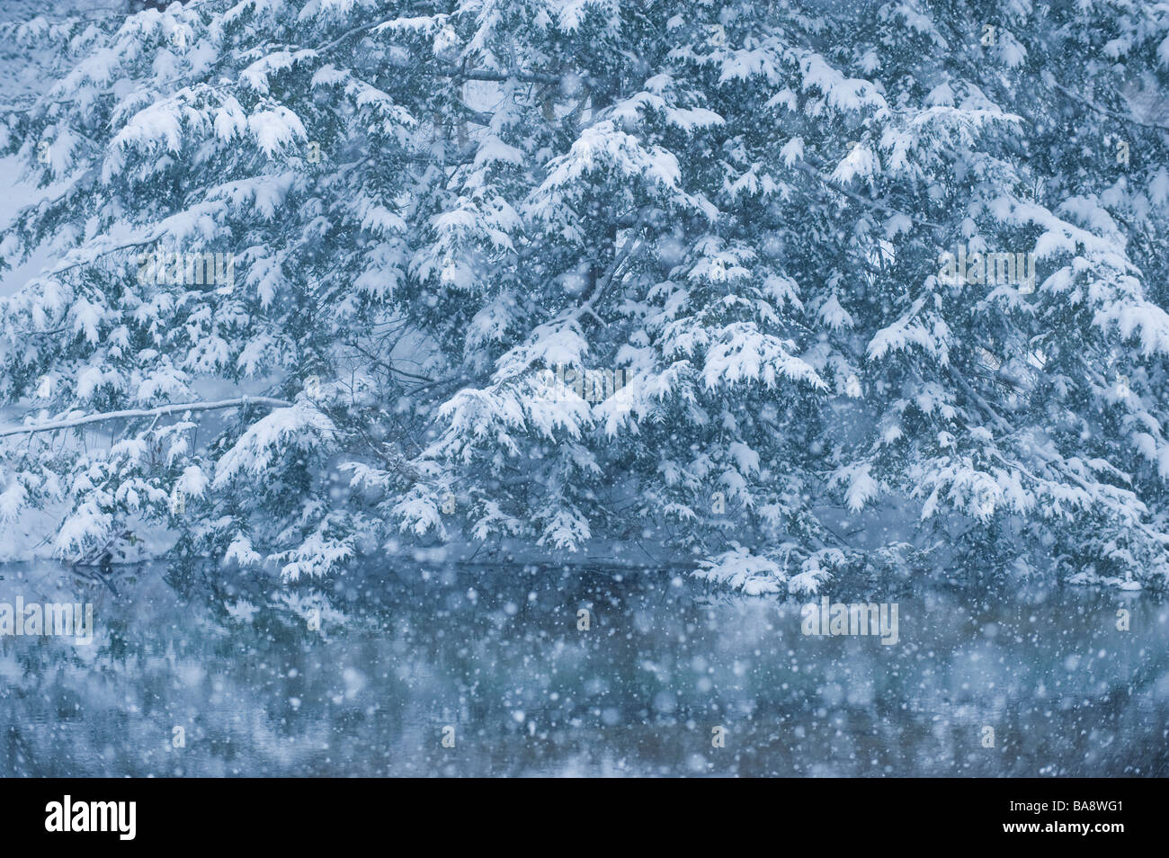 Winter color of a pond hi-res stock photography and images - Alamy