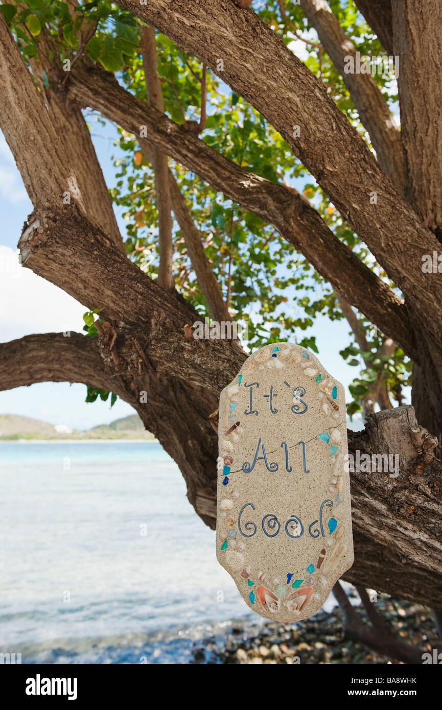 Optimistic sign on tropical tree Stock Photo - Alamy