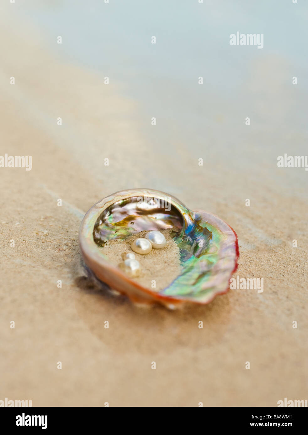 Pearl in oyster shell hi-res stock photography and images - Alamy
