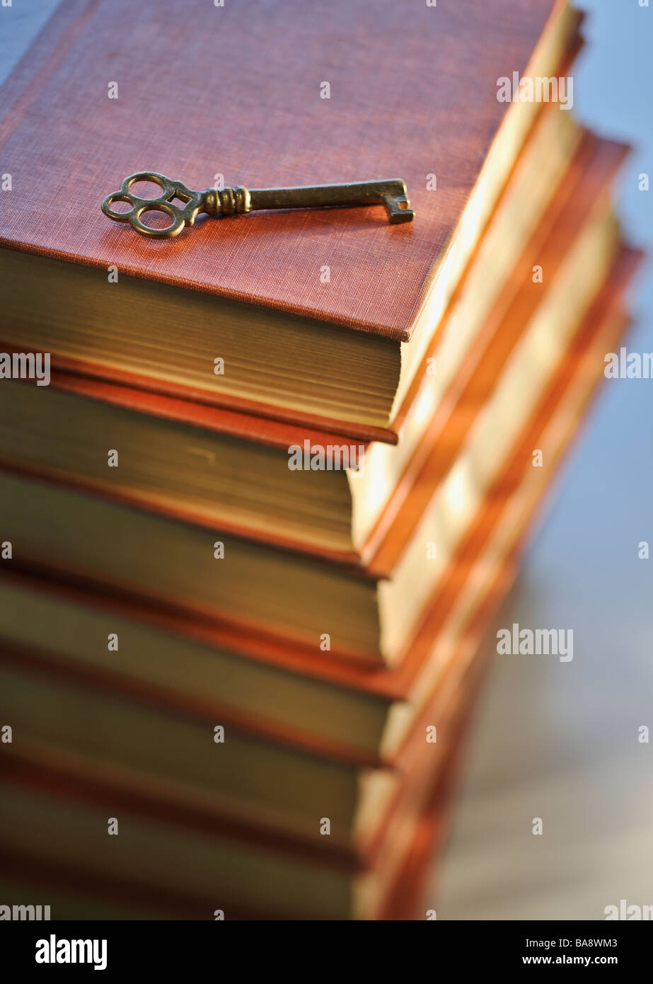 Vertical still life antique objects hi-res stock photography and images ...