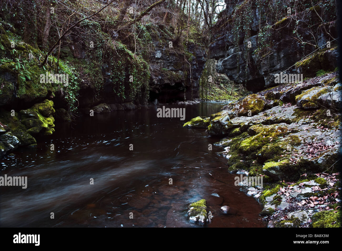 The Taff Fechan River in Wales. Photo by Gordon Scammell Stock Photo ...