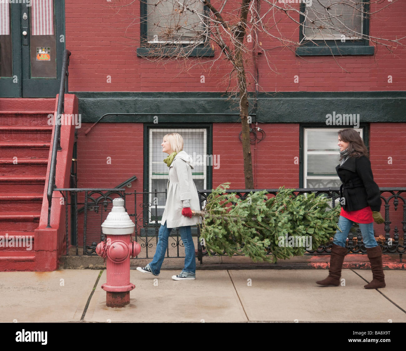 Women carrying Christmas tree on urban street Stock Photo - Alamy