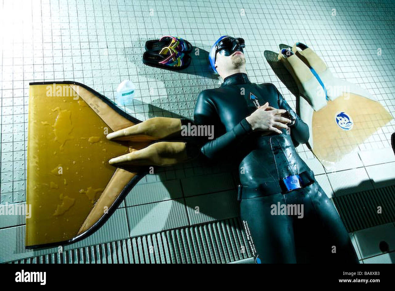 Monopalm hi-res stock photography and images - Alamy