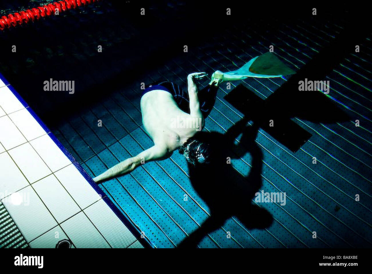 Diving with monopalm in a swimming pool Stock Photo - Alamy