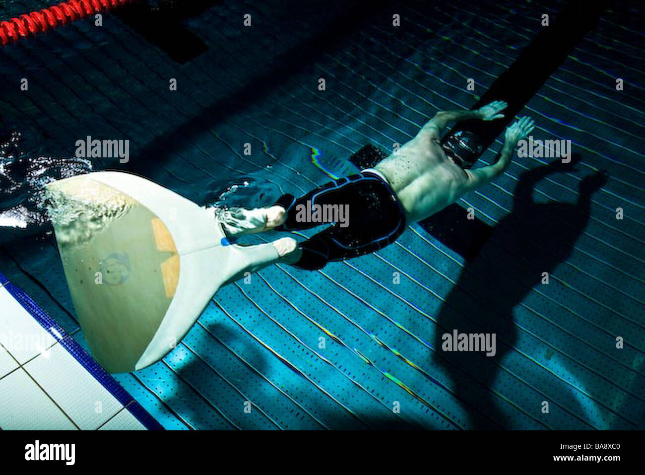 Monopalm hi-res stock photography and images - Alamy