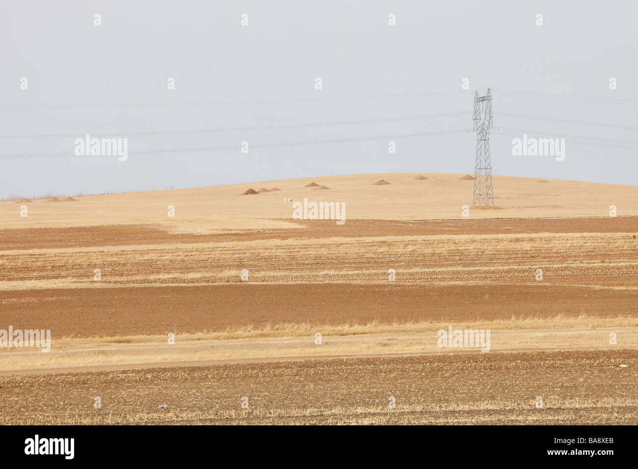 Inner Mongolia is suffering its worst drought in 50 years with ...