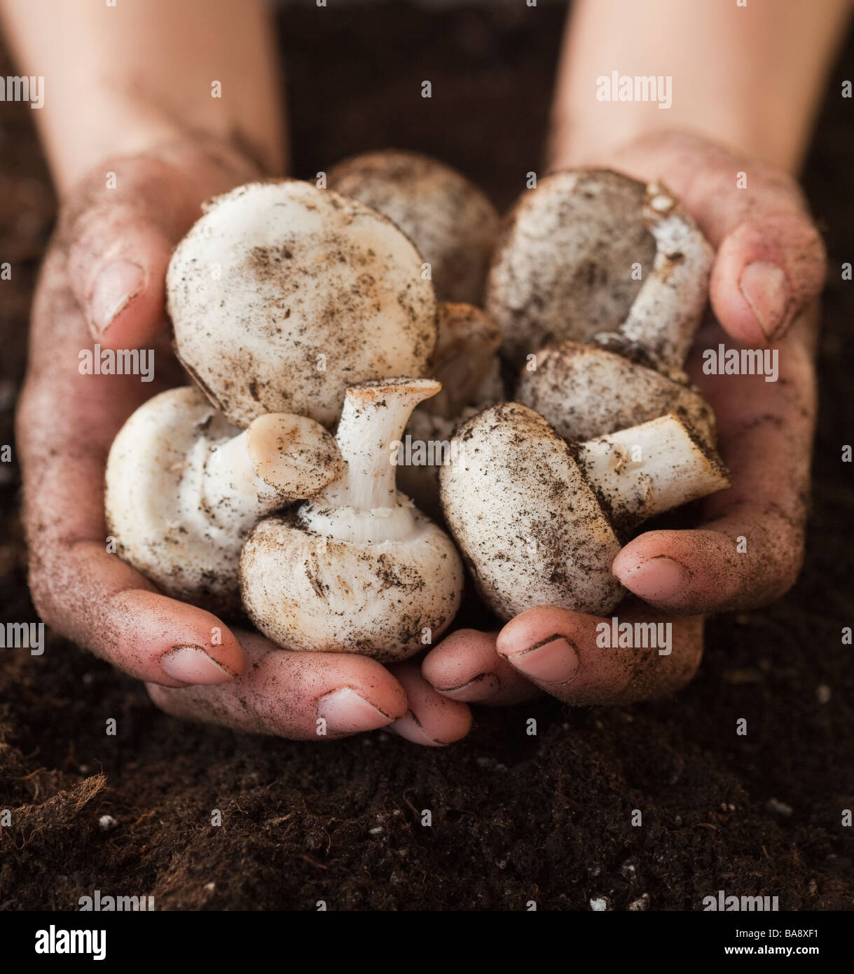 Digging up hi-res stock photography and images - Alamy