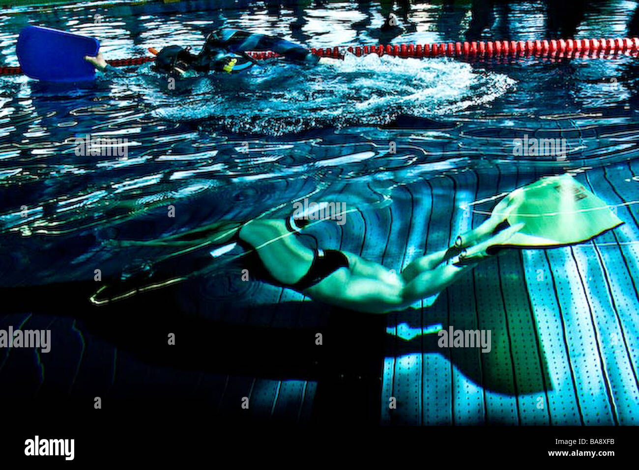 Monopalm hi-res stock photography and images - Alamy