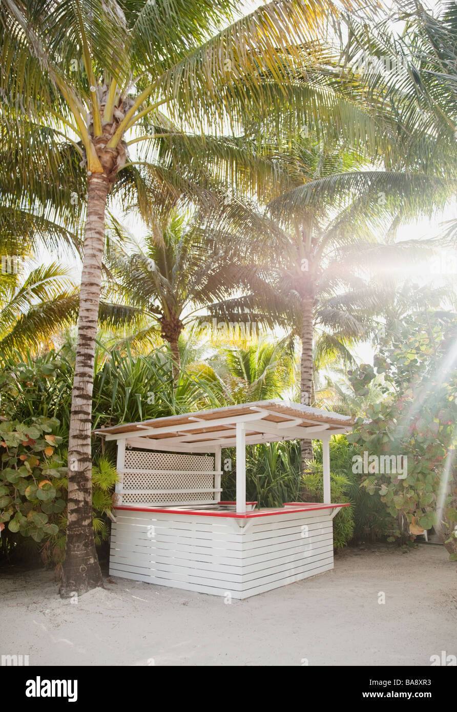 Bar in tropical beach setting Stock Photo - Alamy