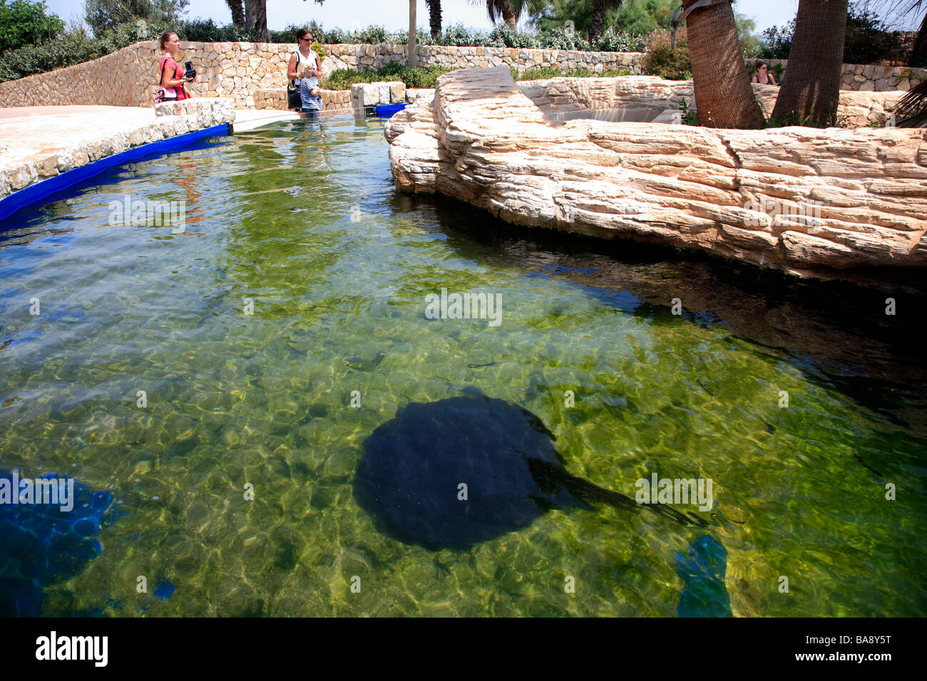 Majorca palma aquarium hi-res stock photography and images - Alamy
