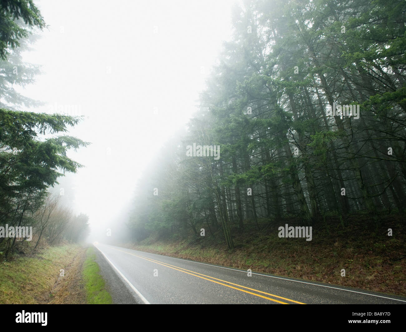 Highway through foggy forest Stock Photo - Alamy