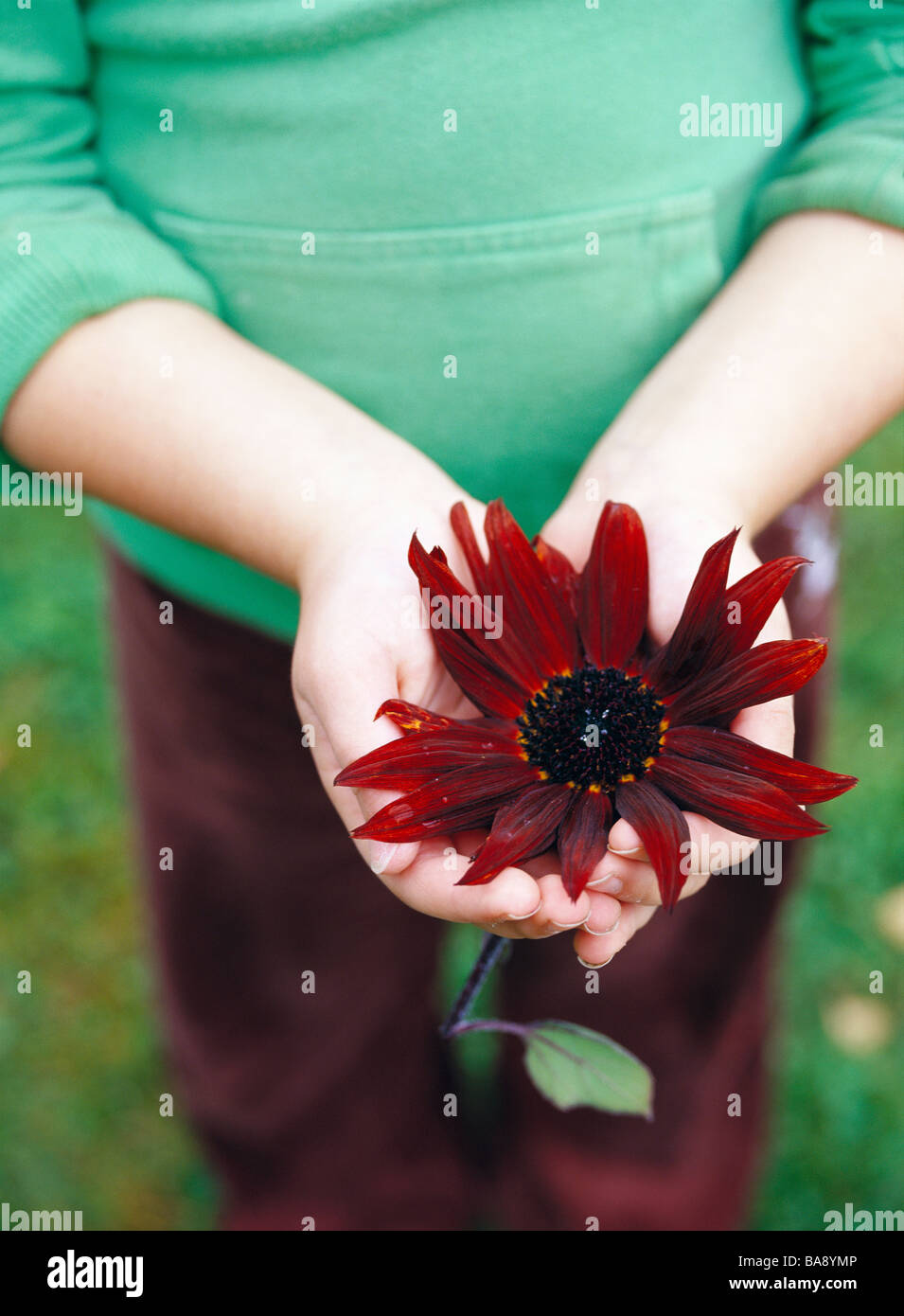 One Pair Of Hands Stock Photos & One Pair Of Hands Stock Images - Alamy