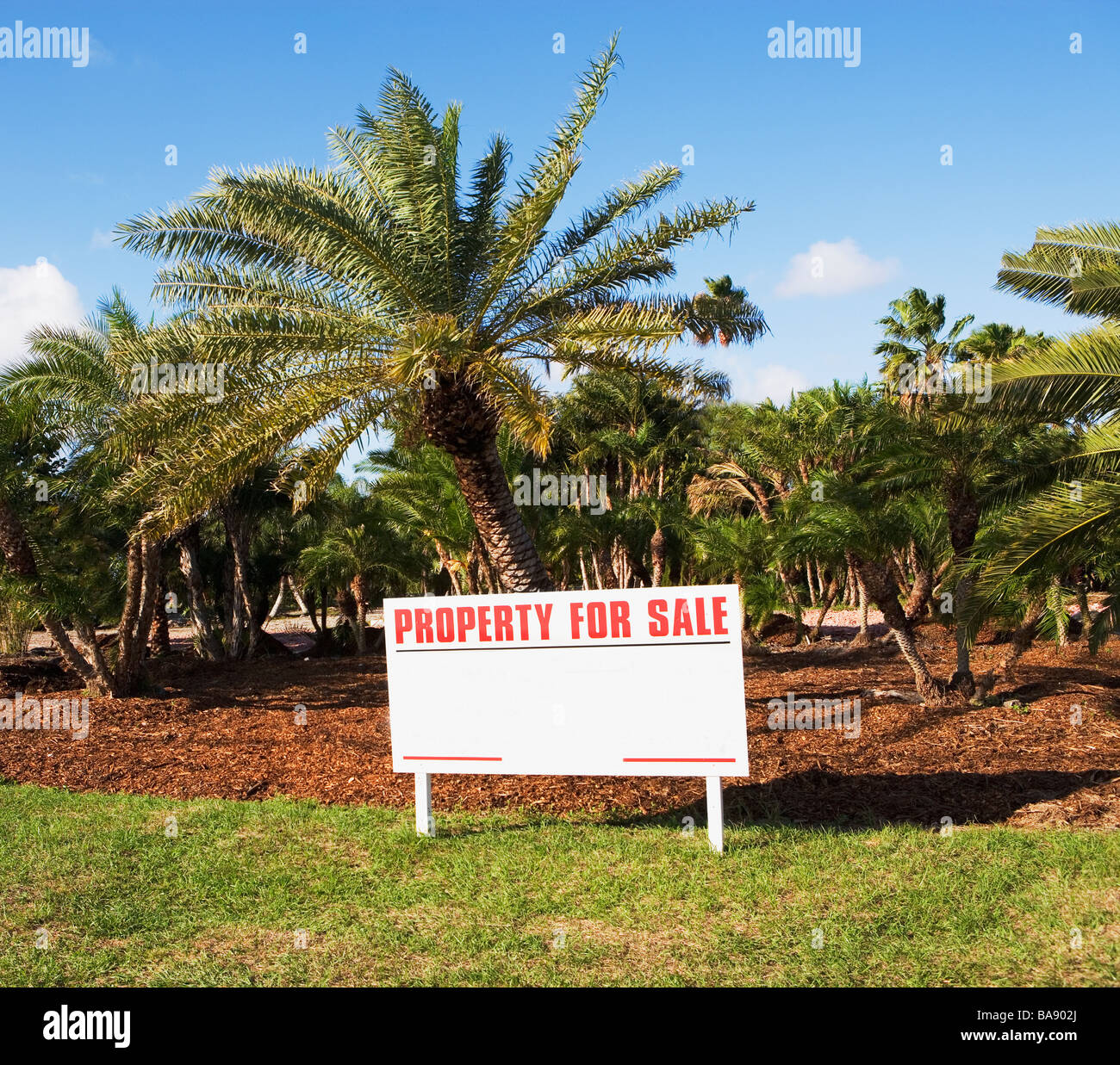 Property for sale sign Stock Photo - Alamy