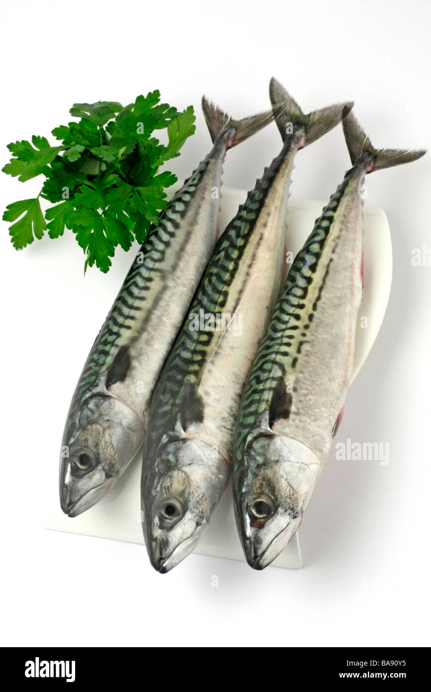 Mackerels hi-res stock photography and images - Alamy