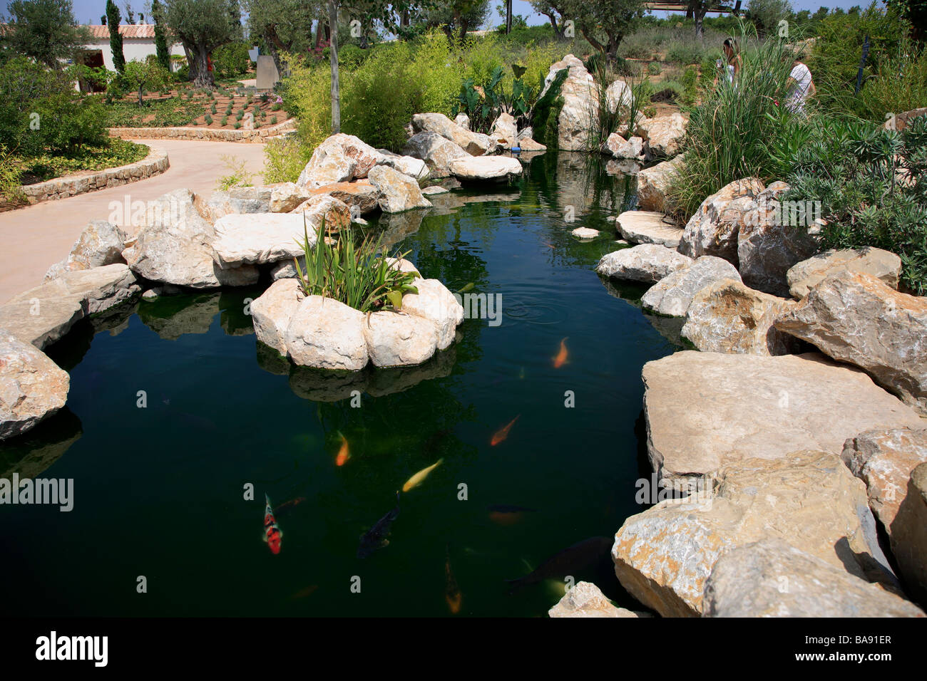 Majorca palma aquarium hi-res stock photography and images - Alamy