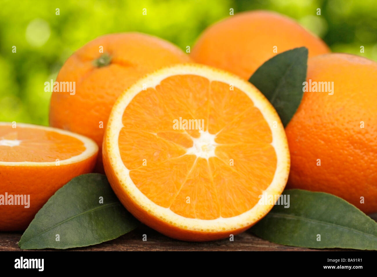 Oranges in natural background Stock Photo - Alamy