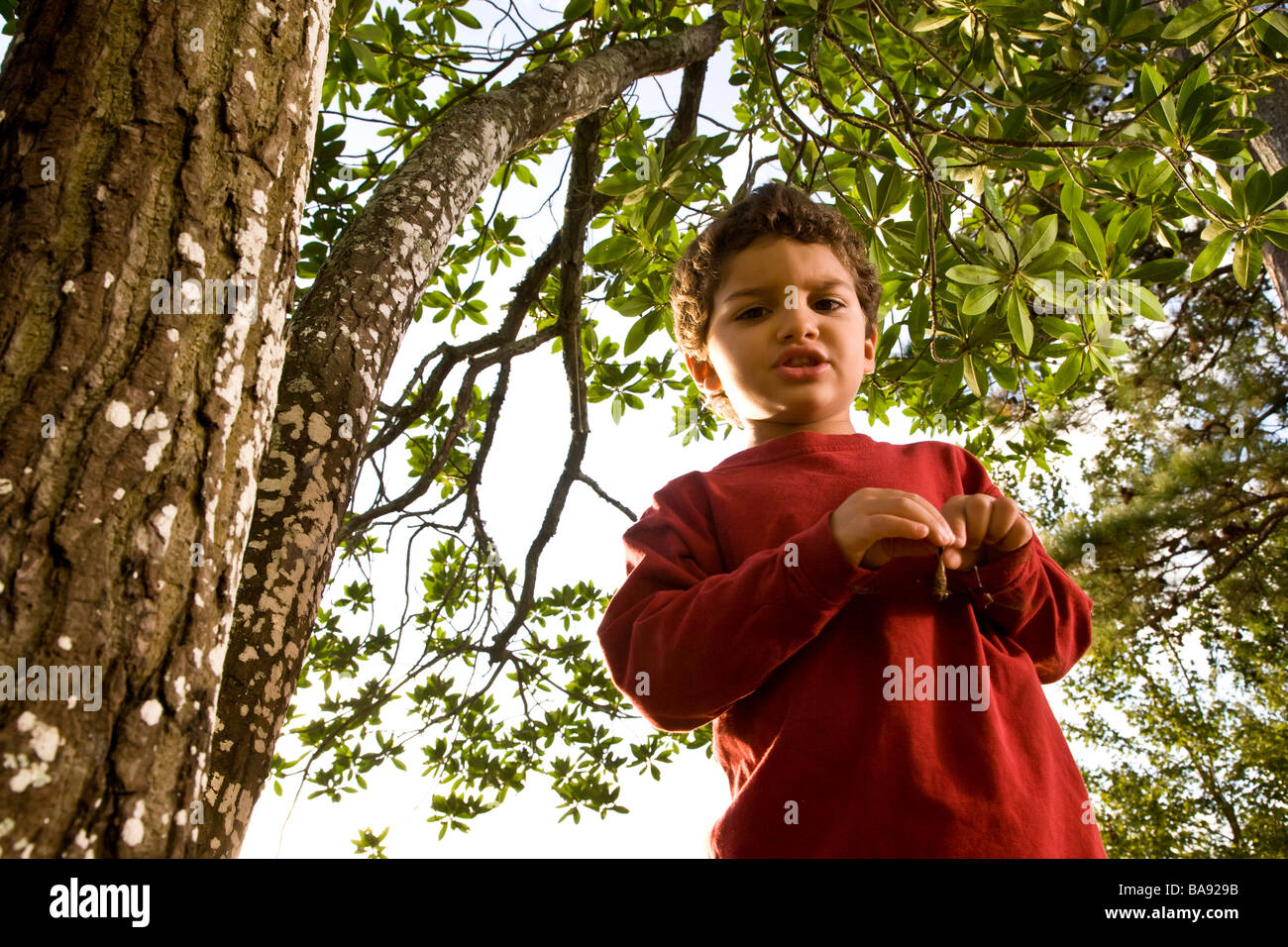Four year old boy in backyard playing with a dragonfly Stock Photo - Alamy