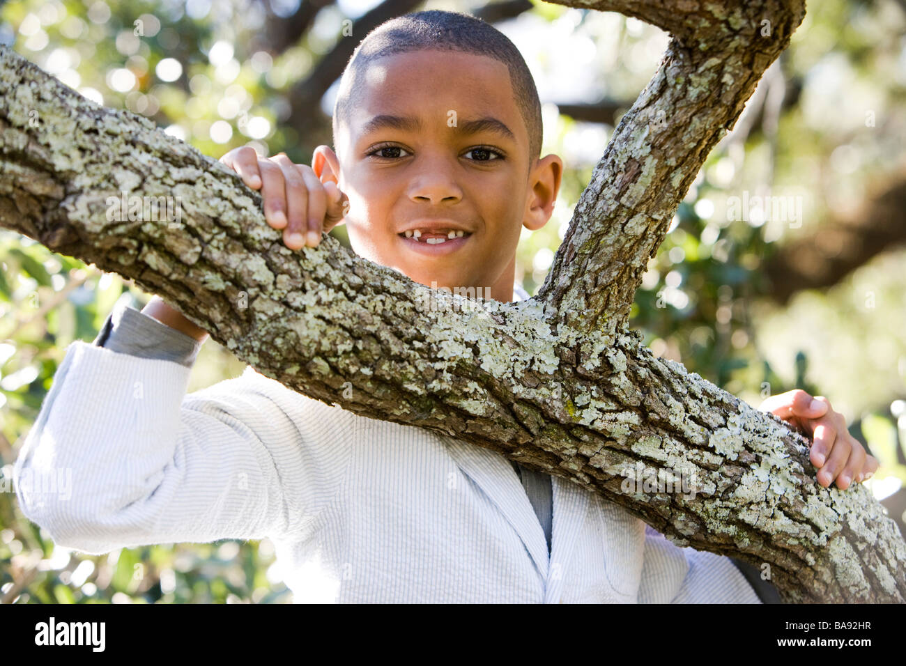 Portrait of African American boy standing near tree Stock Photo - Alamy