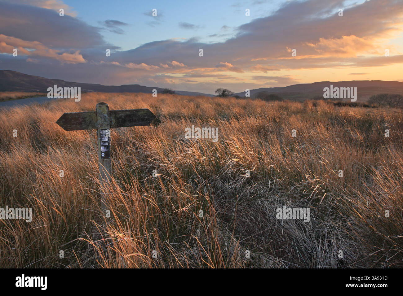 Rhos y hi-res stock photography and images - Alamy