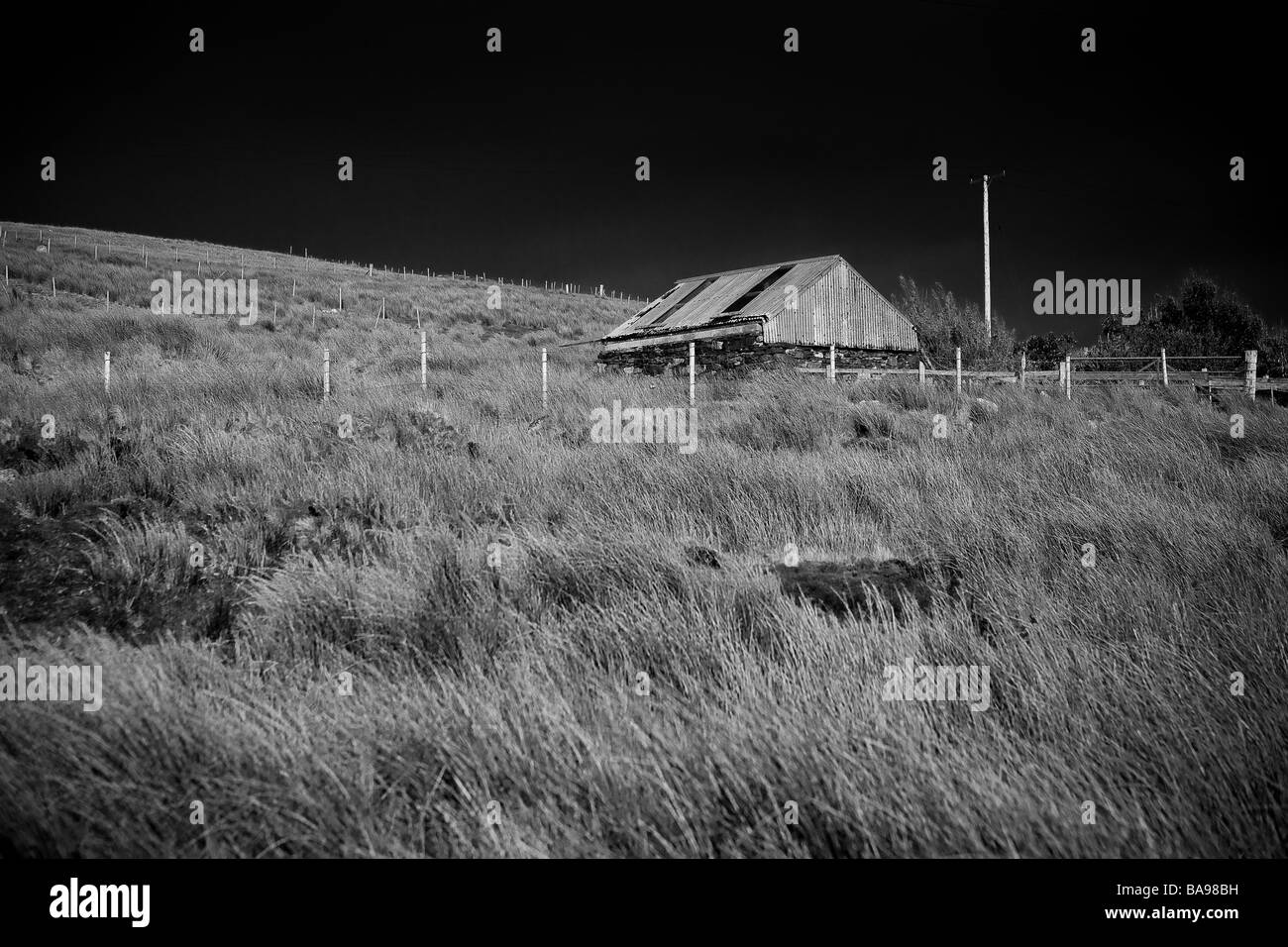Scotland cow landscape Black and White Stock Photos & Images - Alamy