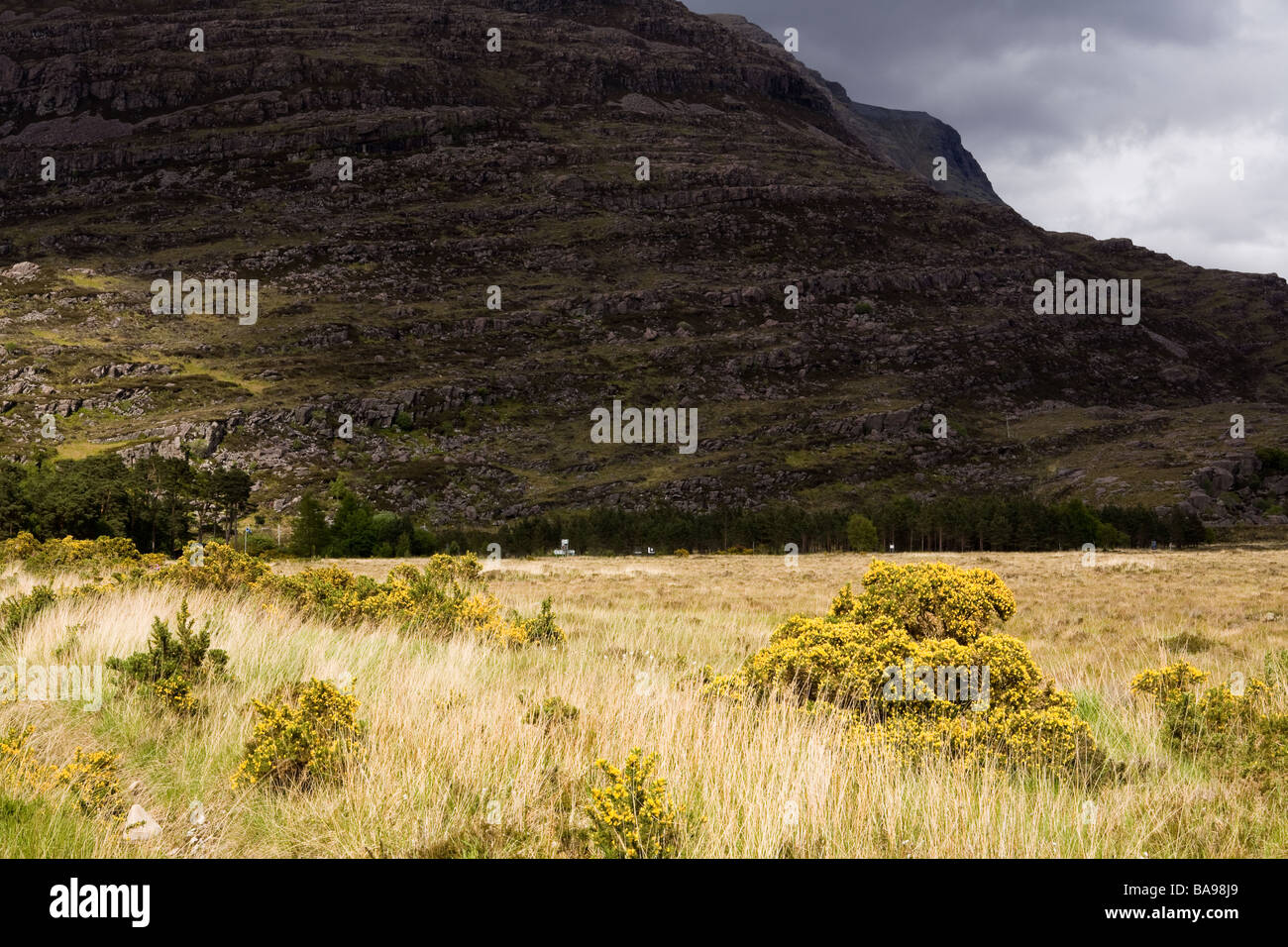 Laithach hi-res stock photography and images - Alamy