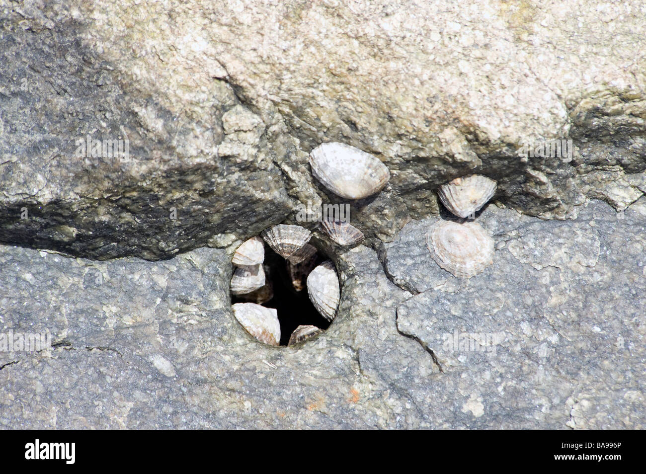 Leo walmsley hi-res stock photography and images - Alamy