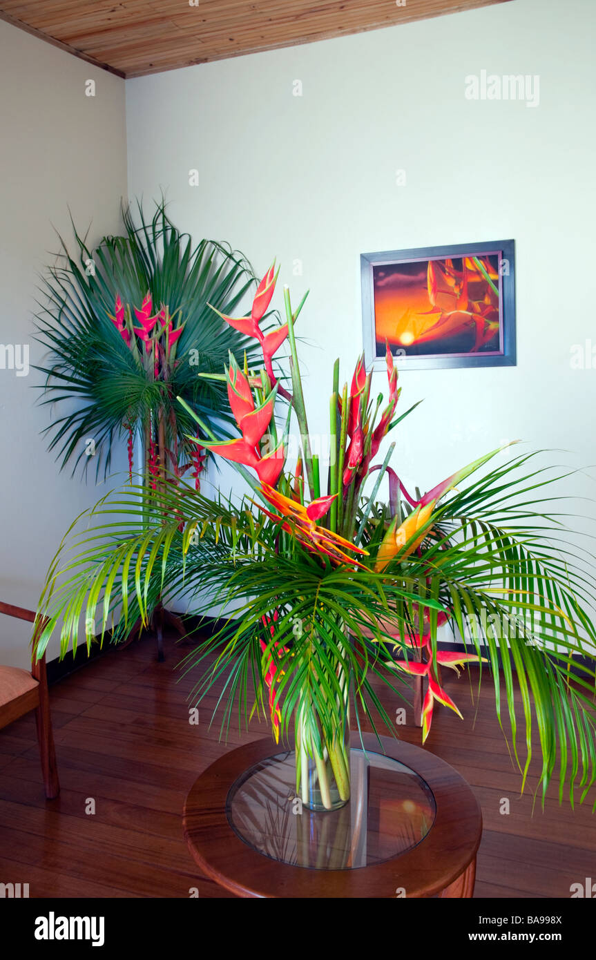 The interior of the Kapok Tree restaurant in eastern Costa Rica Central ...