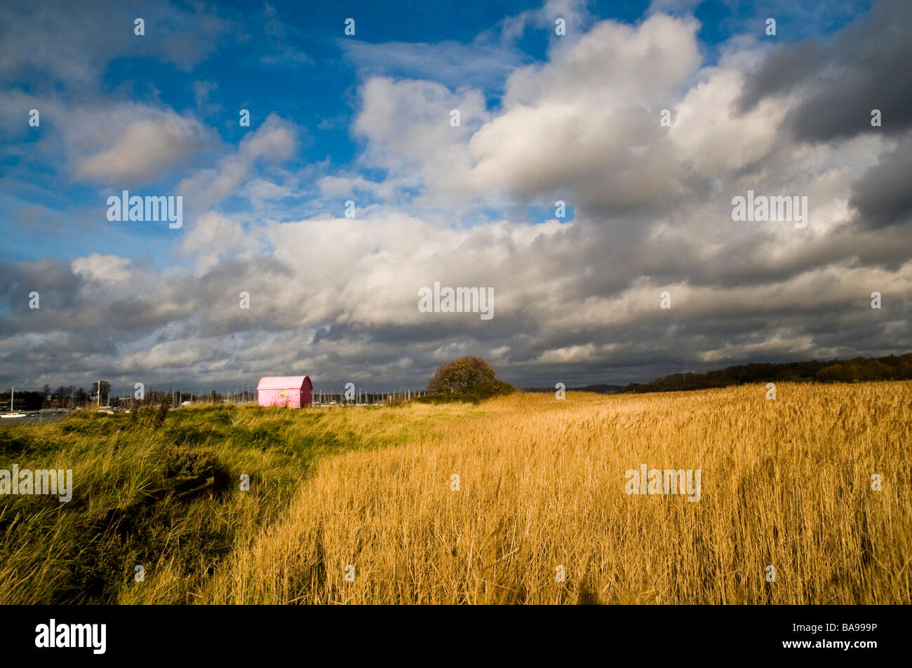 The Little Pink Ferry building on the river Hamble in Hampshire on the ...