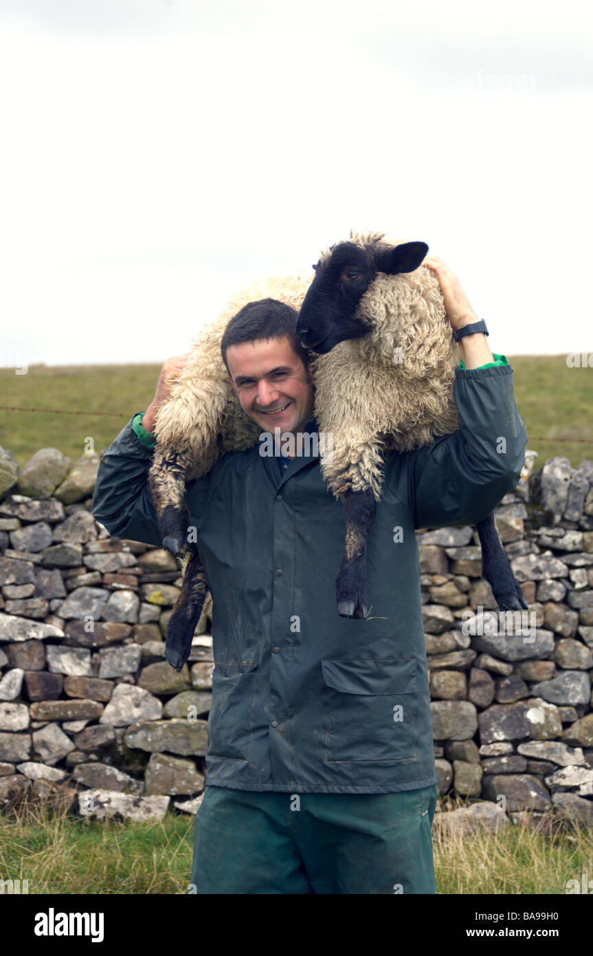 A farmer carrying a sheep Stock Photo - Alamy